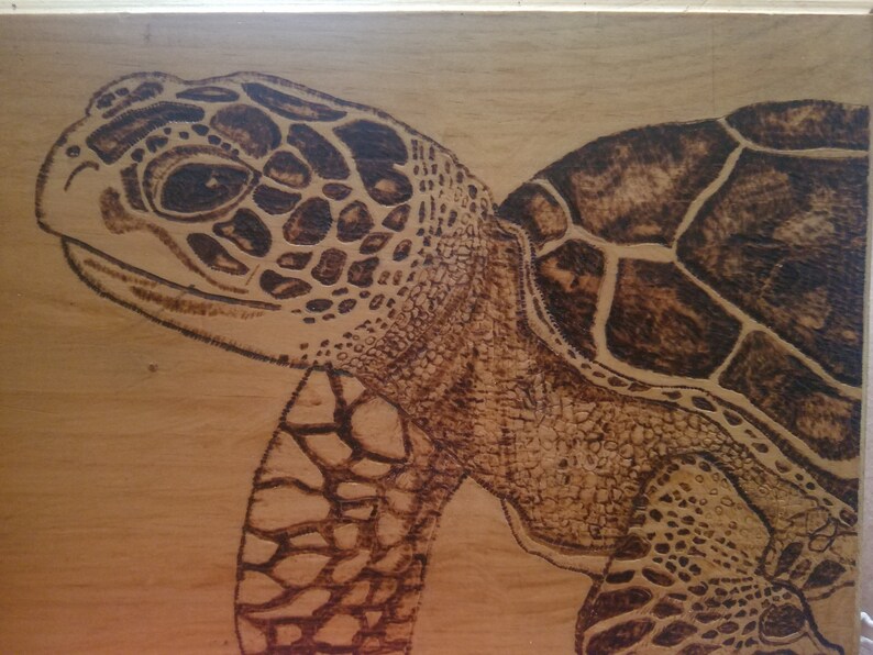 Wood Burned Sea Turtle 810 Free Ship - Etsy