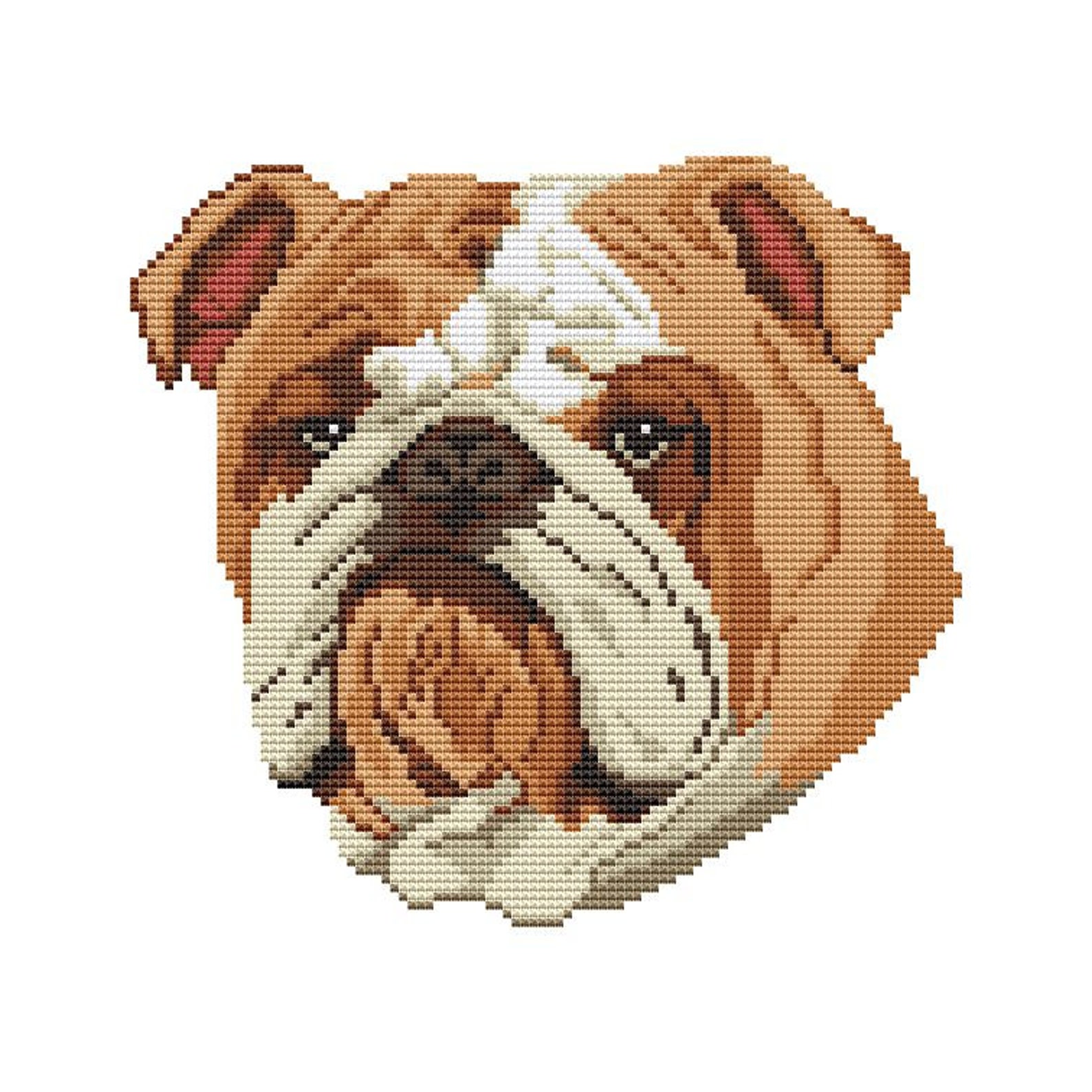 English Bulldog Dog Counted Cross Stitch Pattern Pdf. Modern - Etsy