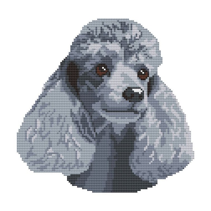 Poodle Cross Stitch - Etsy