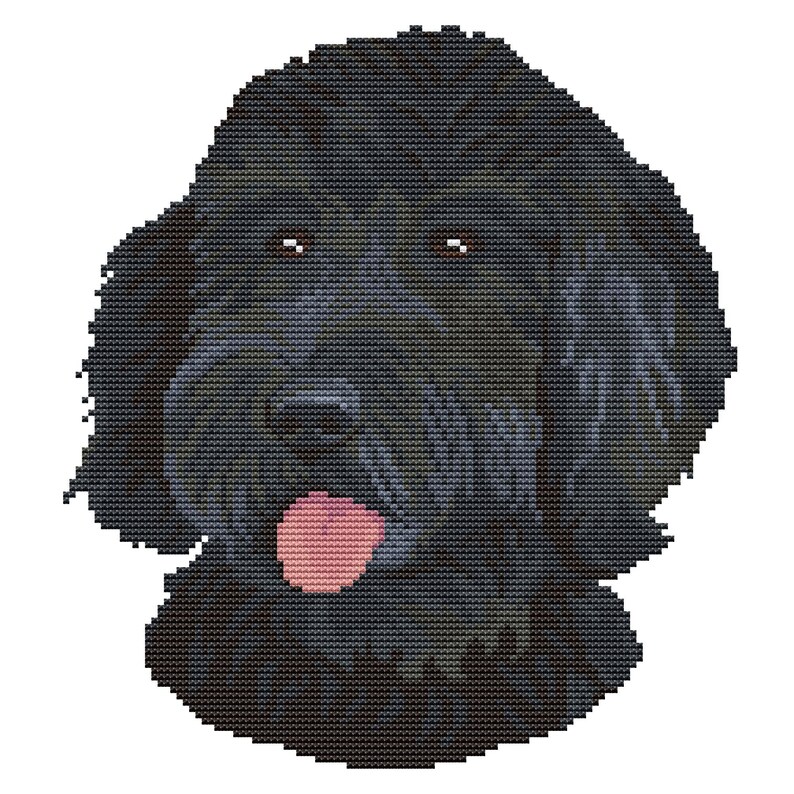 Black Goldendoodle Dog Counted Cross Stitch Pattern Pdf. - Etsy