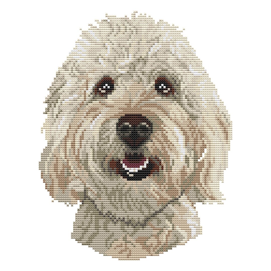 Cream Goldendoodle Dog Counted Cross Stitch Pattern Pdf. Modern Pet ...