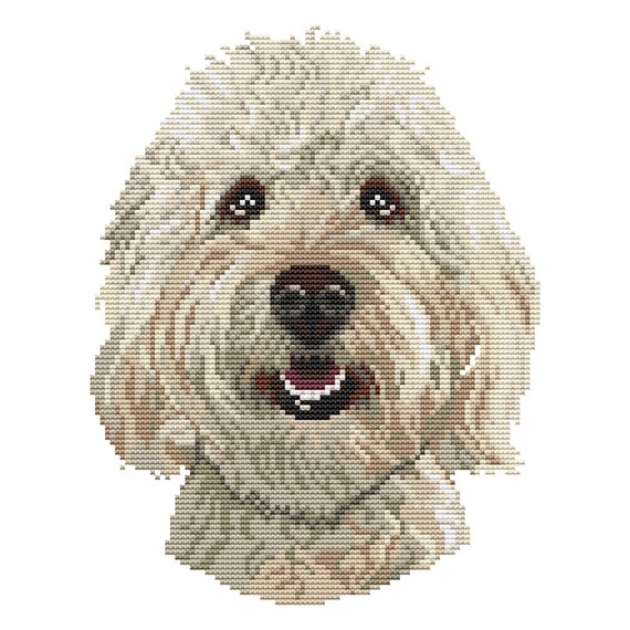 Cream Goldendoodle Dog Counted Cross Stitch Pattern Pdf. | Etsy