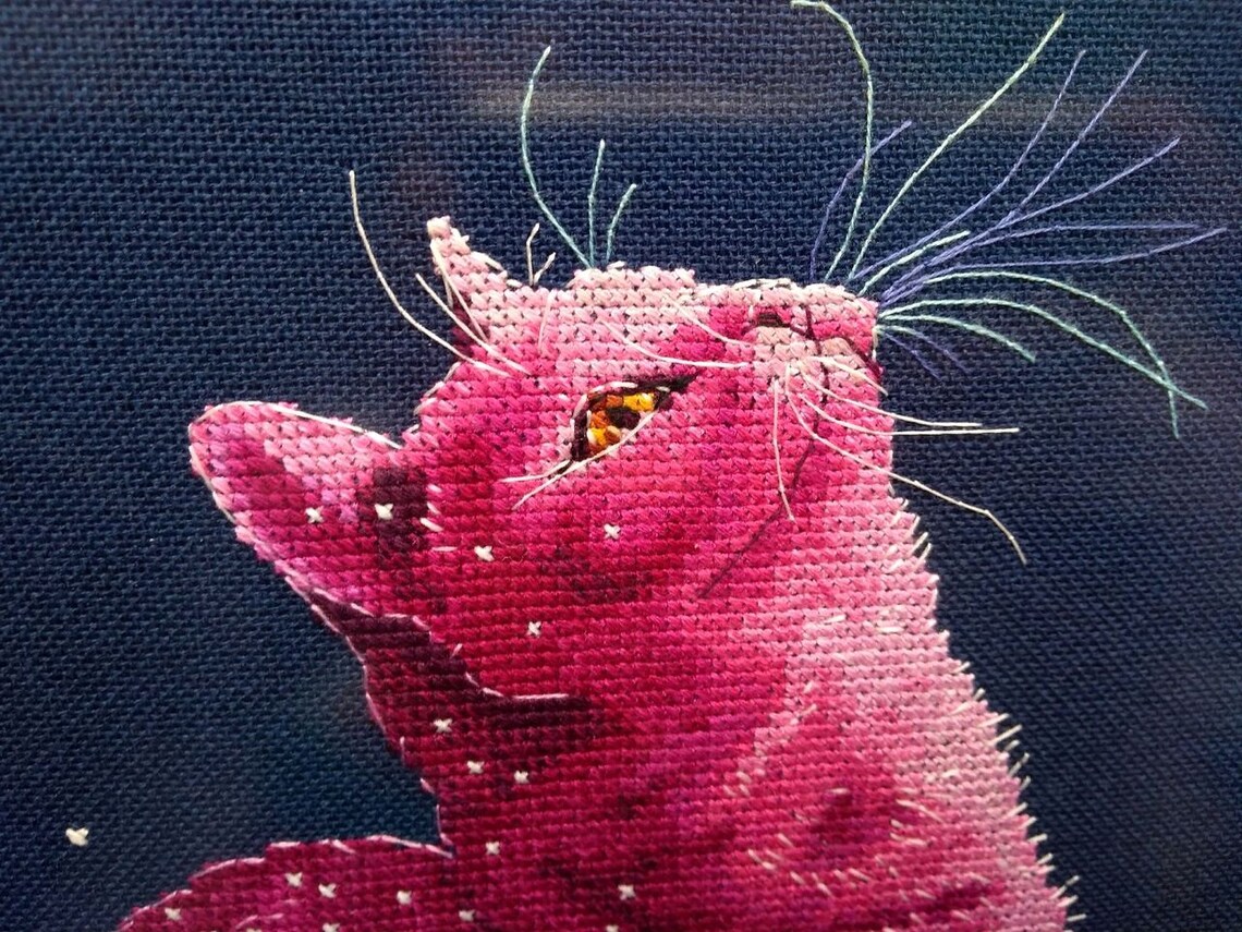 Constellation of the Cat. Cross Stitch Pattern. Cross Stitch - Etsy