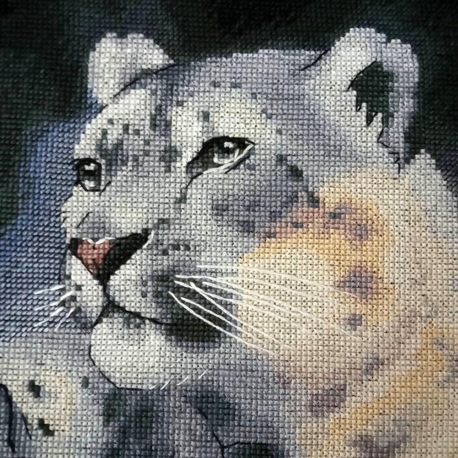 Wild Cat. Snow Leopards. Cross Stitch Pattern. Cross Stitch - Etsy