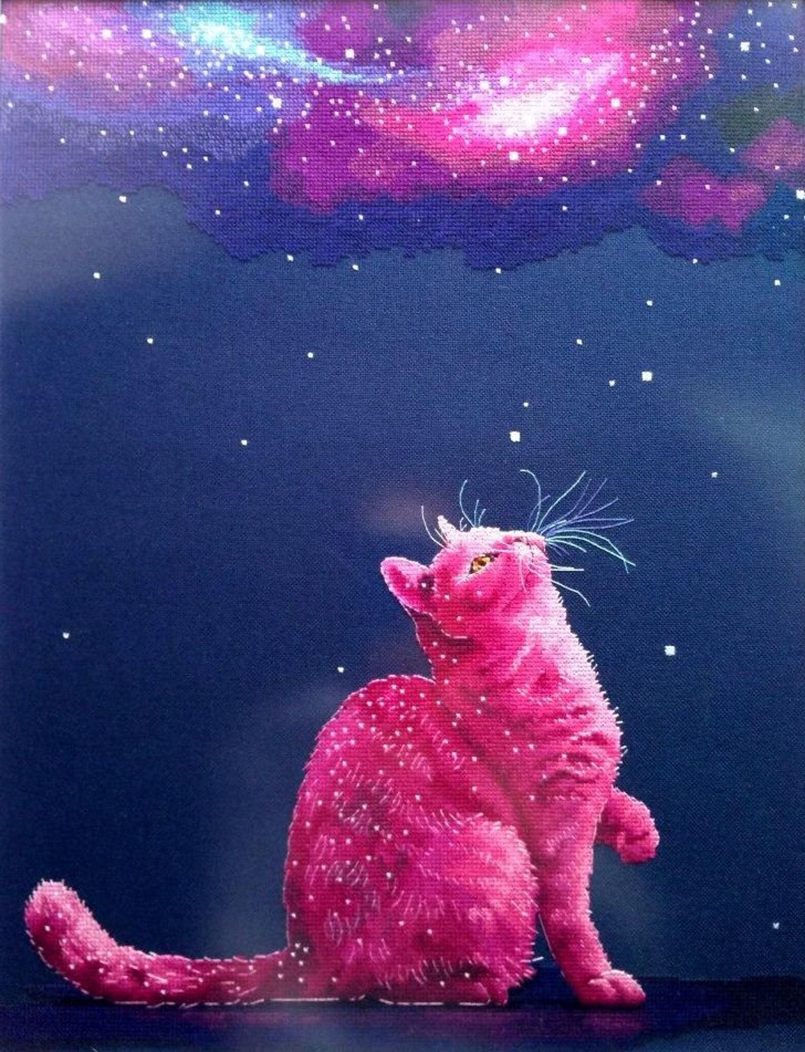 Constellation of the Cat. Cross Stitch Pattern. Cross Stitch - Etsy
