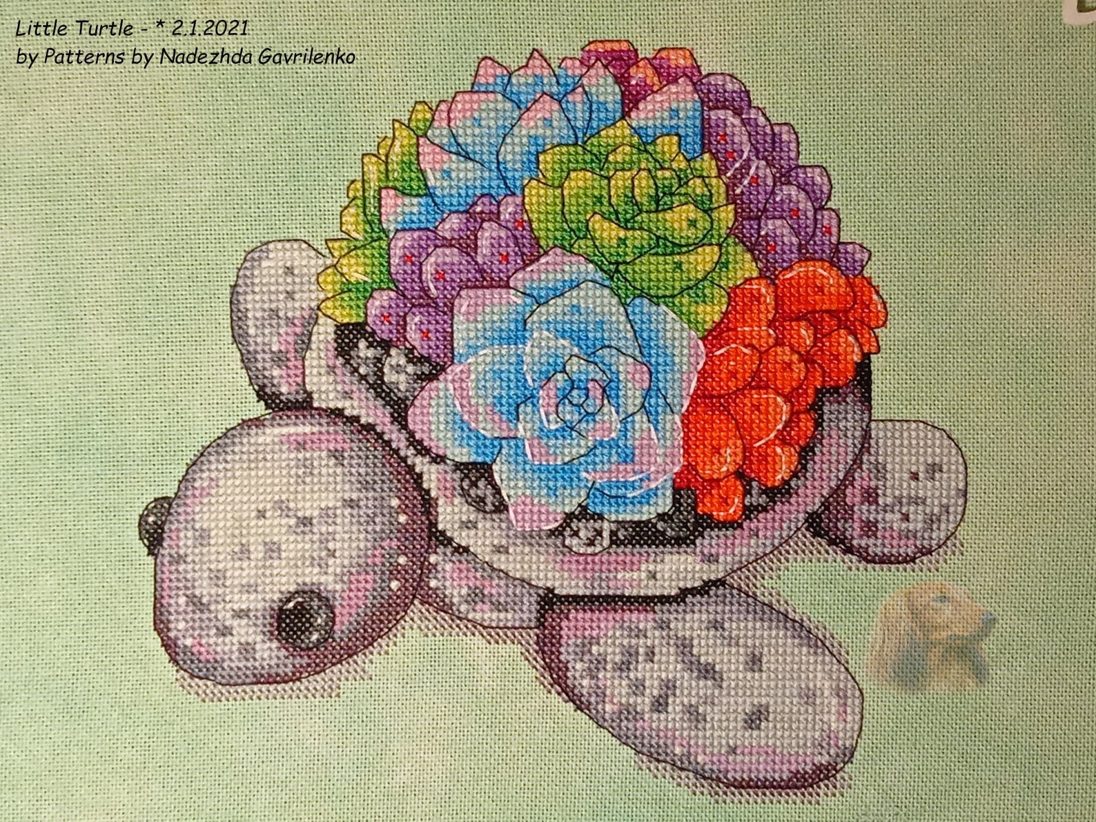 Little Turtle. Cross Stitch Pattern. Cross Stitch Design. - Etsy