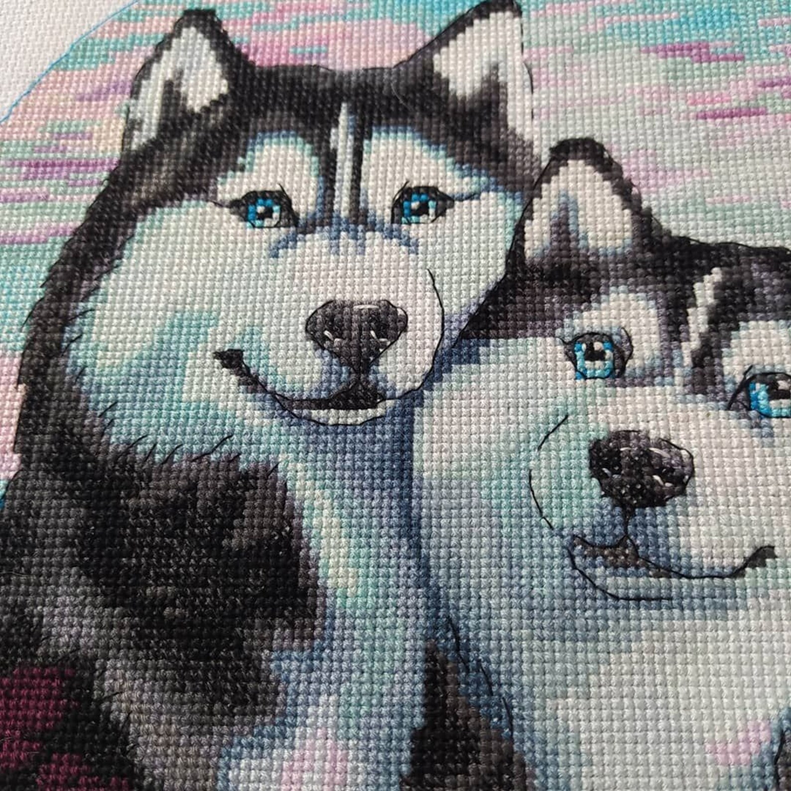 Husky's Love. Cross Stitch Pattern. Cross Stitch Design. - Etsy