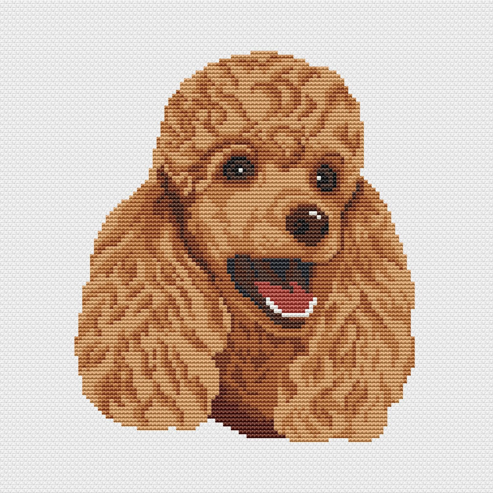 Apricot Poodle Dog Counted Cross Stitch Pattern Pdf. Modern - Etsy