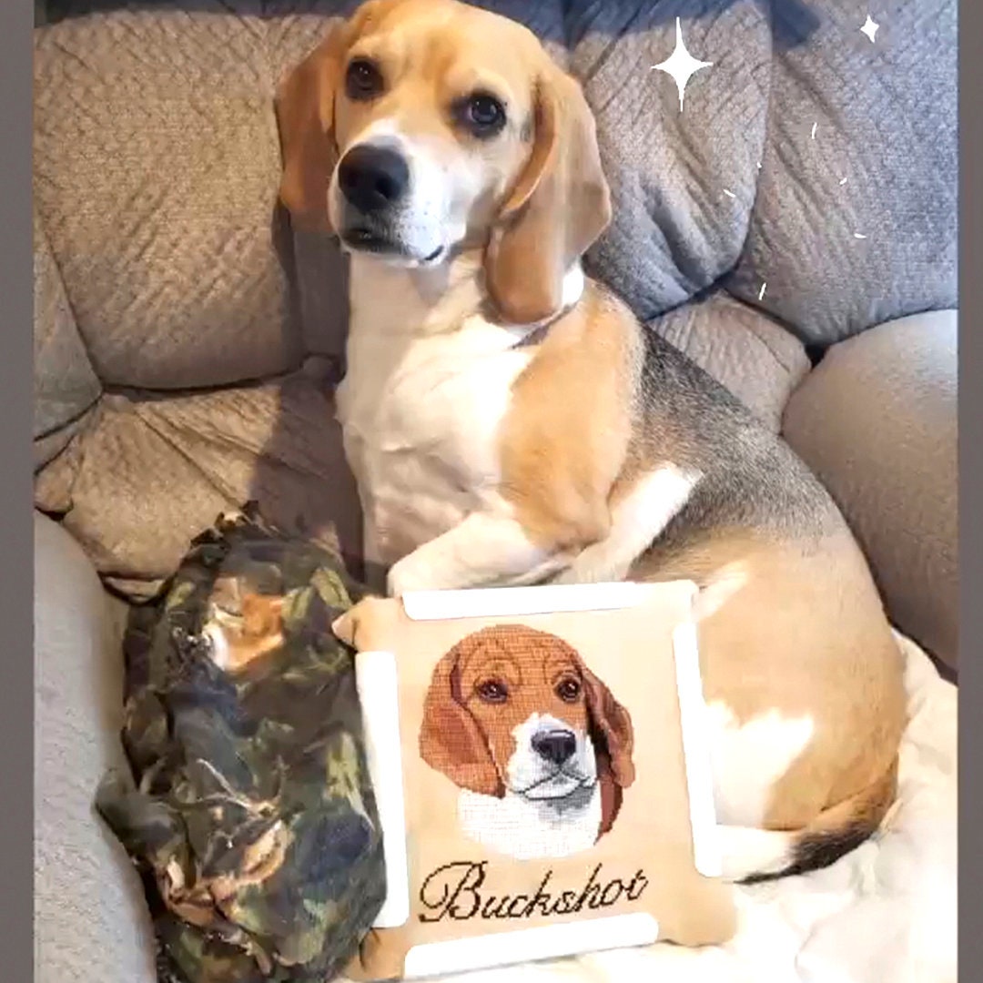 Beagle Dog Counted Cross Stitch Pattern Pdf. Modern Pet - Etsy