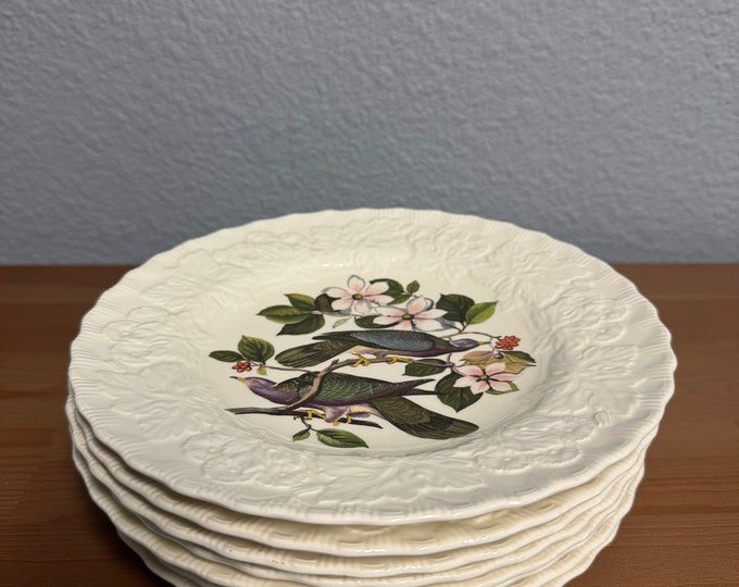 Vintage Set of 8 Alfred Meakin Birds of America Plates 9 Inch Plates ...