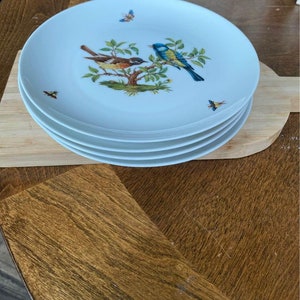 Vintage Set of 4 West German Plates Kaiser Bird Pattern - Etsy