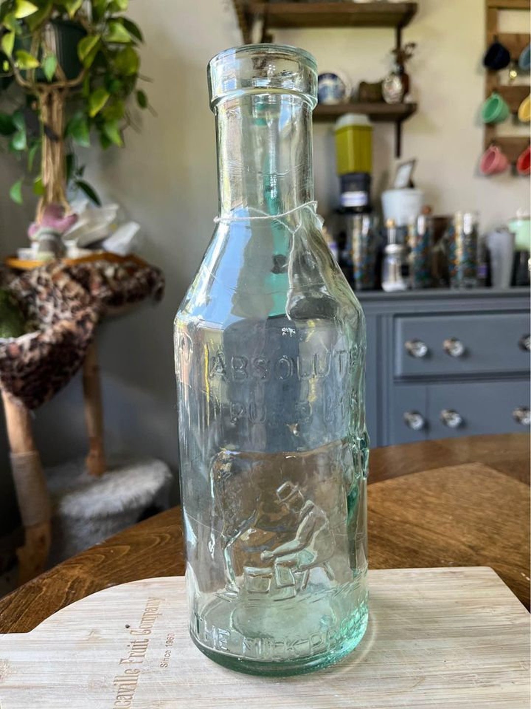 Vintage Absolutely Pure Milk Bottle Glass Cow - Etsy