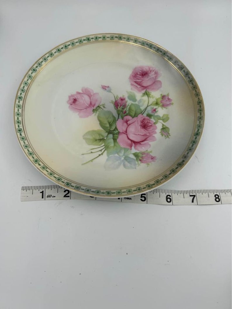 Lovely German Decorative Plate Hand Painted Roses Vintage - Etsy