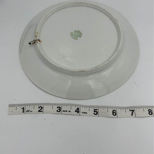 Lovely German Decorative Plate Hand Painted Roses Vintage - Etsy