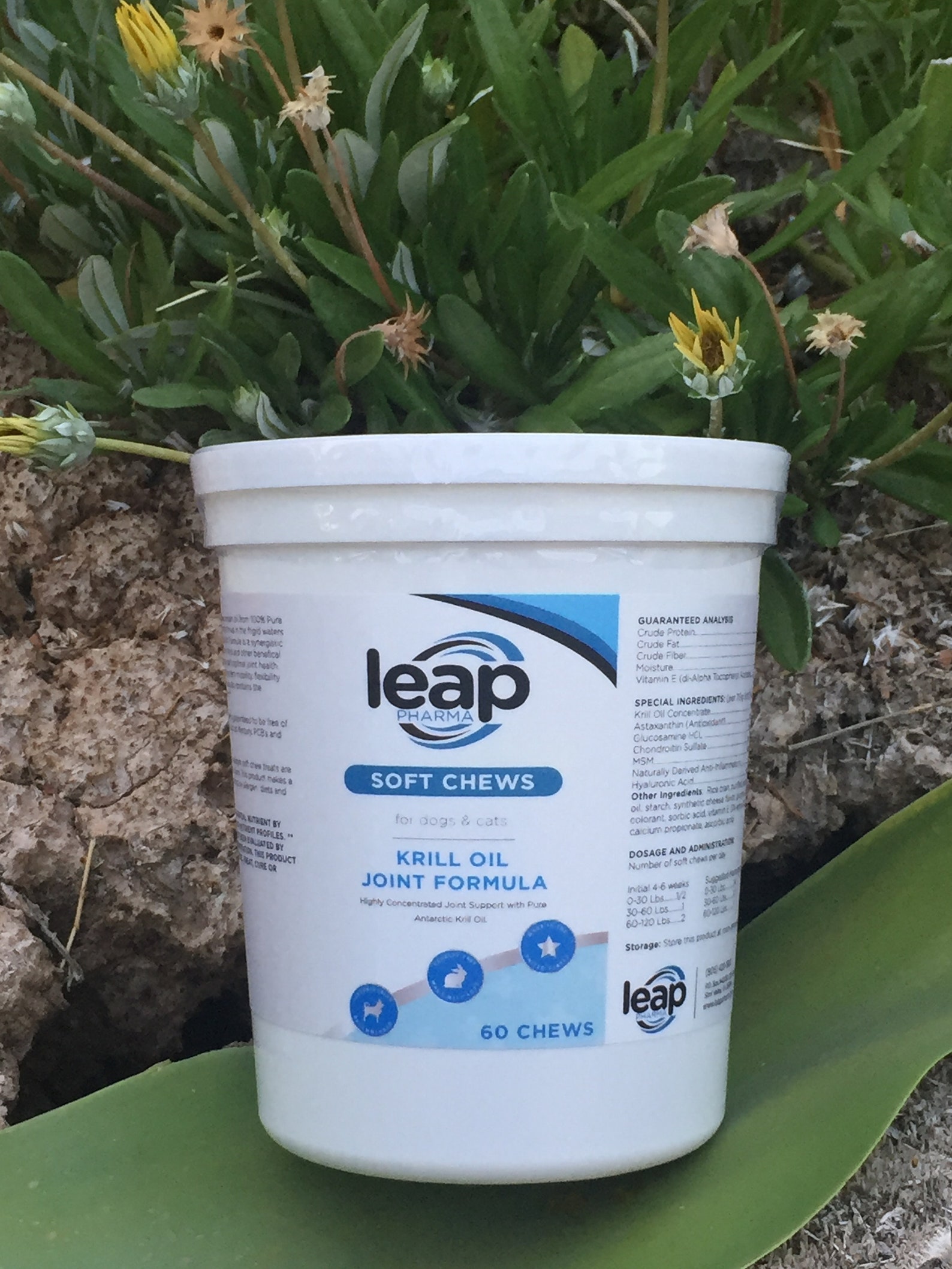 Krillex Joint Formula Pure Antarctic Krill Oil Joint Supplement for ...