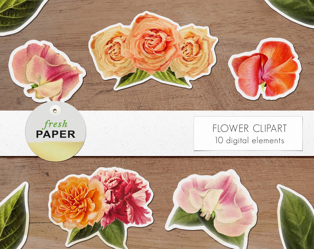 Flower Clipart, Flower Digital Stickers, Floral Clipart, Digital ...