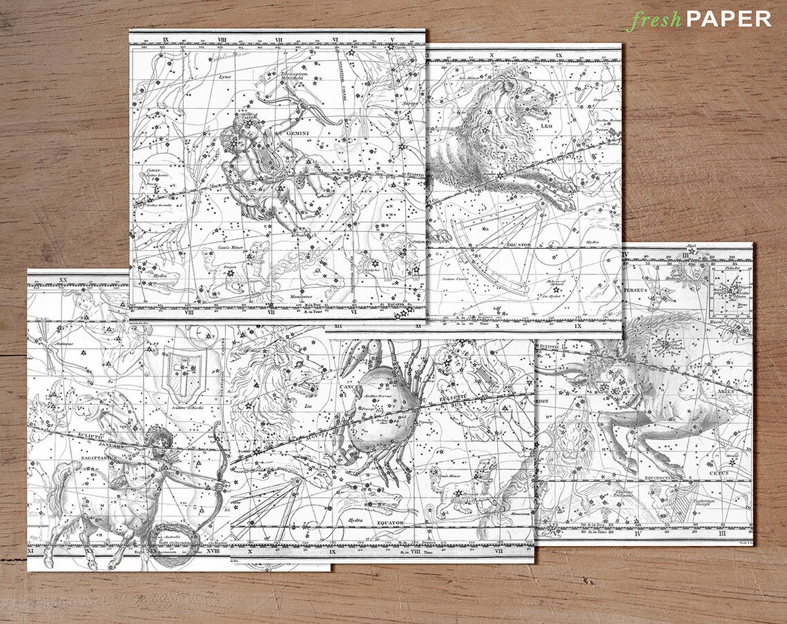 Zodiac Constellation Digital Papers, Zodiac Papers, Zodiac Sign Papers ...