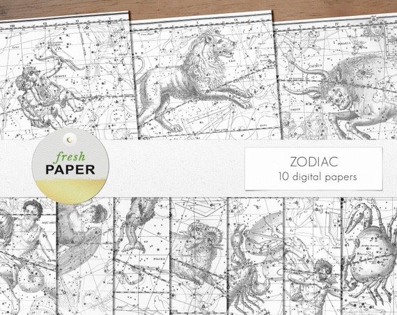 Zodiac Constellation Digital Papers Zodiac Papers Zodiac - Etsy