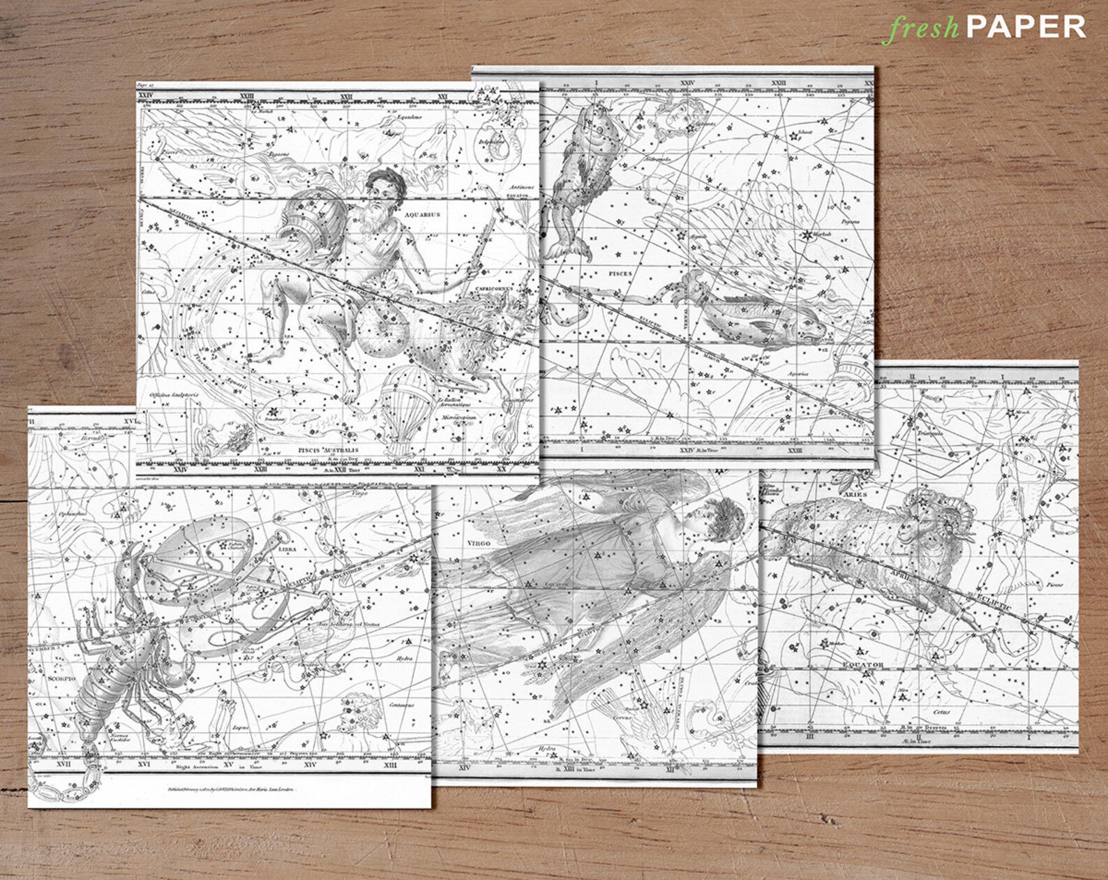 Zodiac Constellation Digital Papers, Zodiac Papers, Zodiac Sign Papers ...