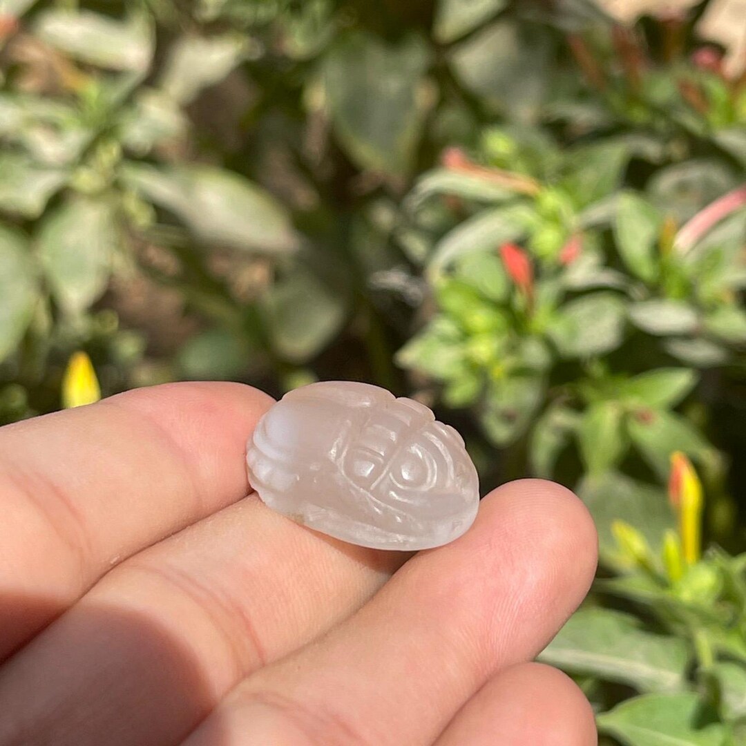 Ancient Agate Scarab Amulet: Rare Animal Engraving Bead - Etsy