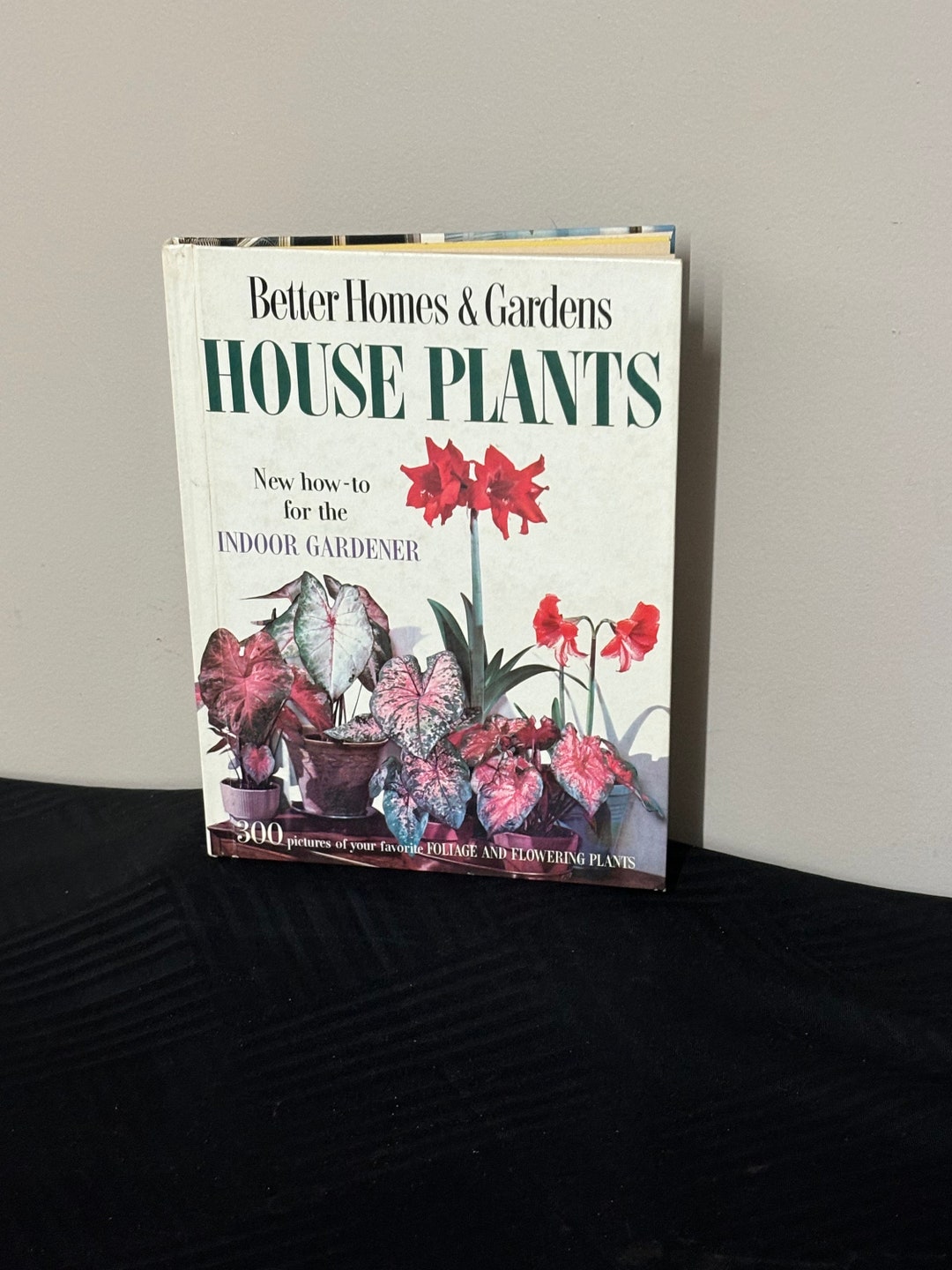 1959 Better Homes and Gardens House Plants -first Edition- New How-to ...