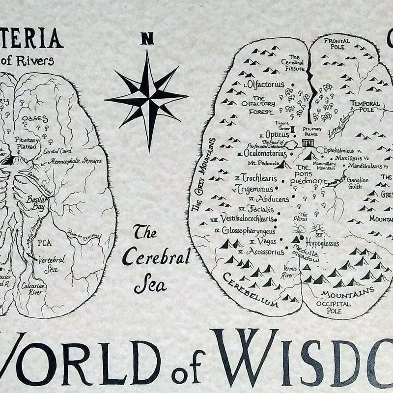 Medieval Mapmaker - Etsy