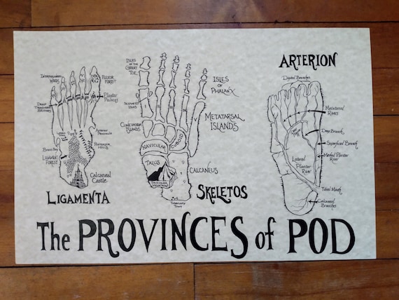 Foot Anatomy Map Hand Drawn | Etsy