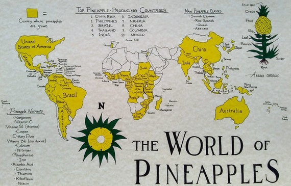 Pineapple Map - Etsy
