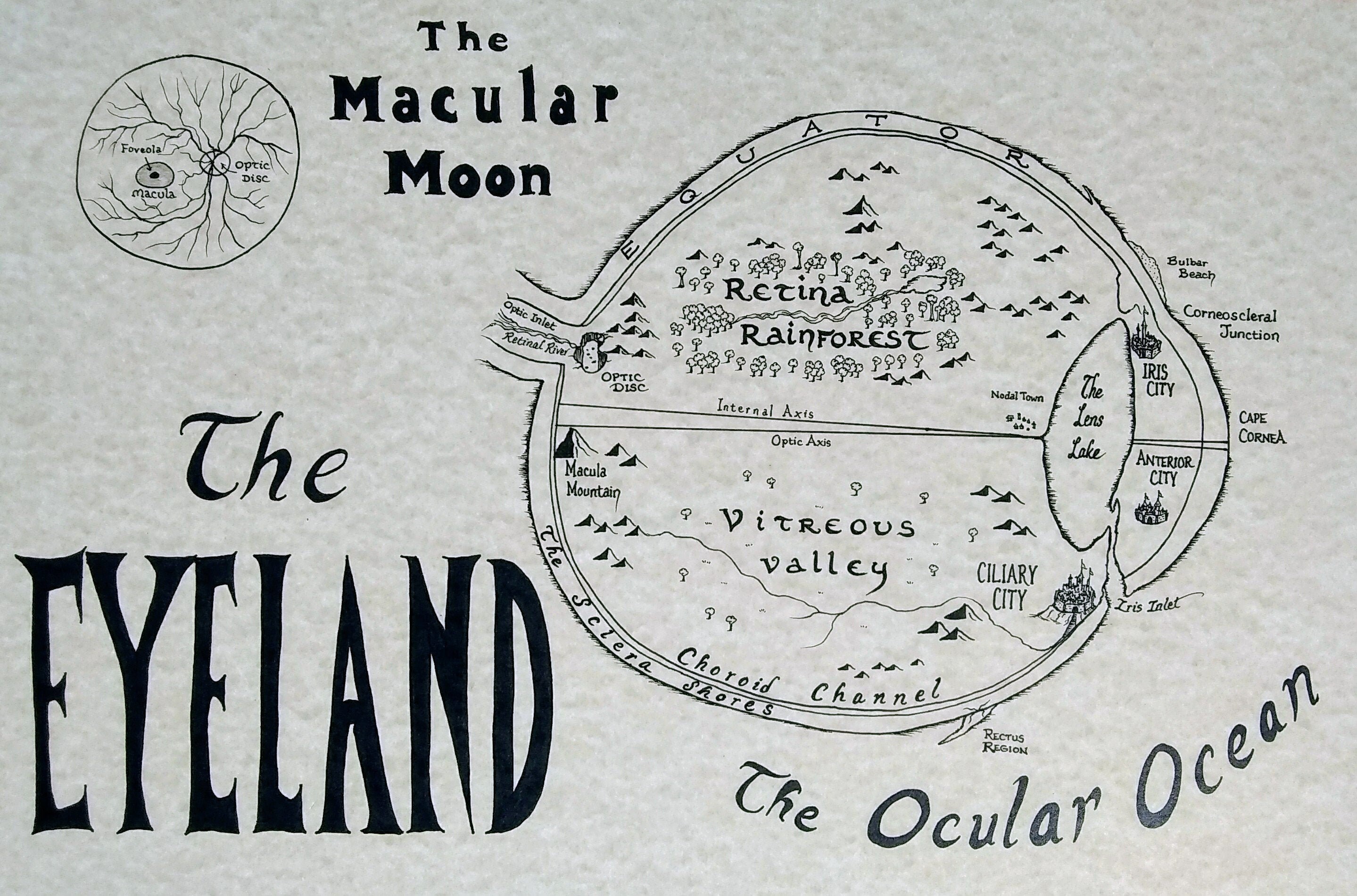 Eyeball Map - Etsy