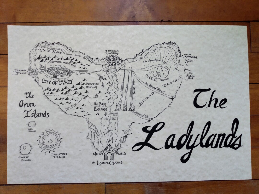 Uterus Anatomy Map Hand Drawn - Etsy