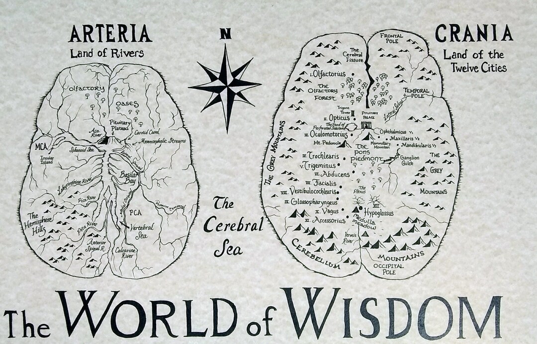 Brain Hand Drawn Map - Etsy