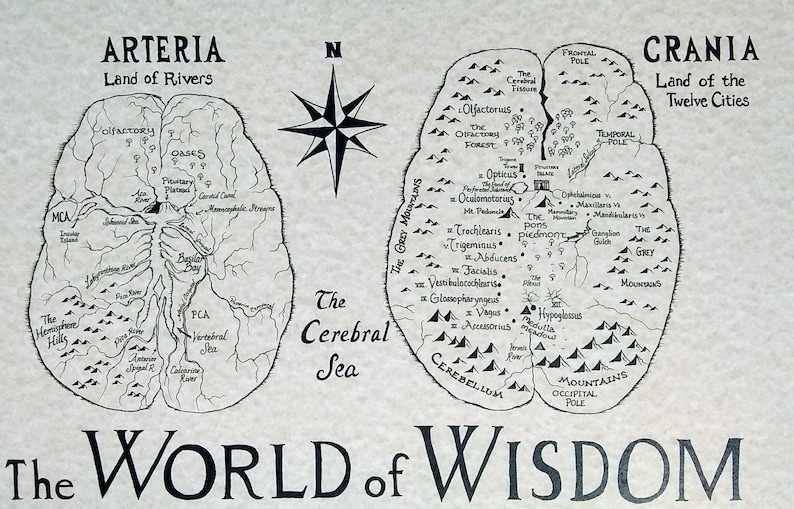 Brain Hand Drawn Map - Etsy
