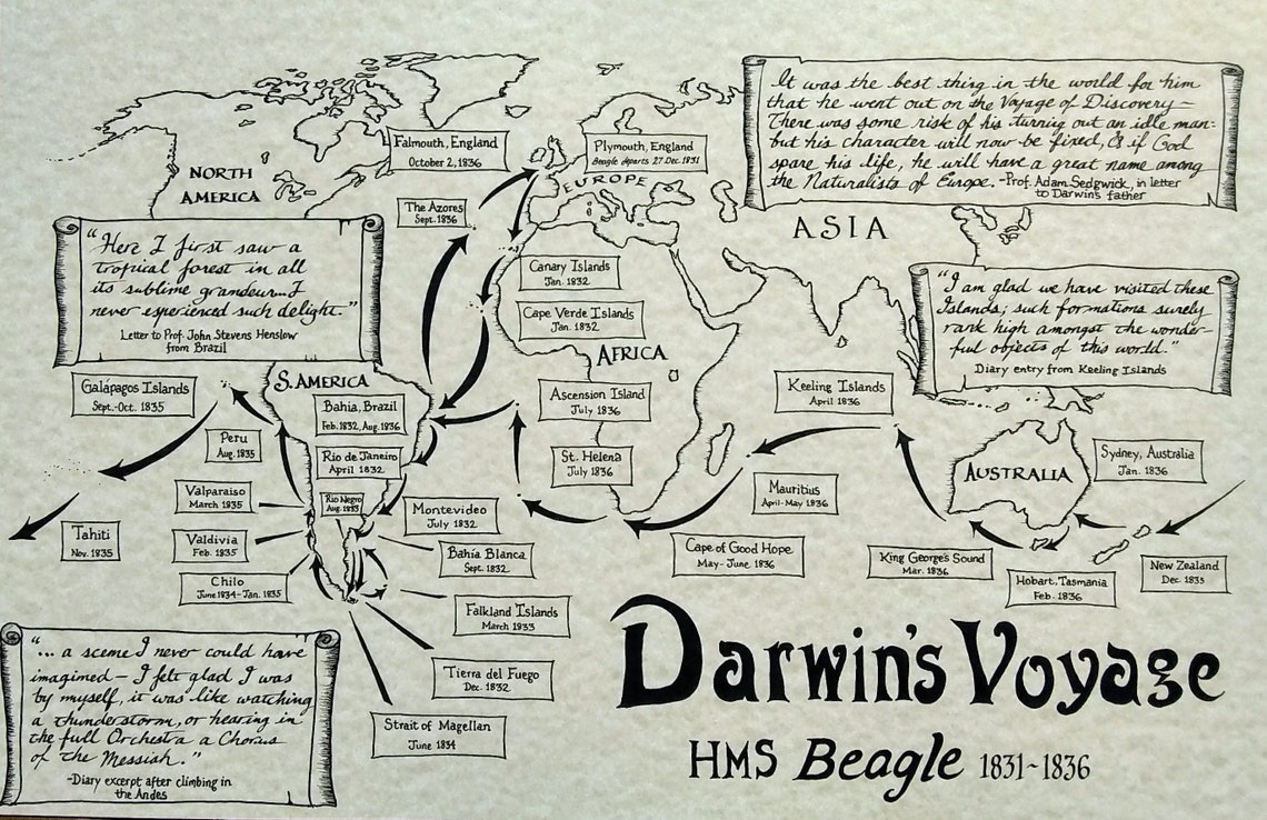 Darwin's Voyage Hand Drawn Map - Etsy