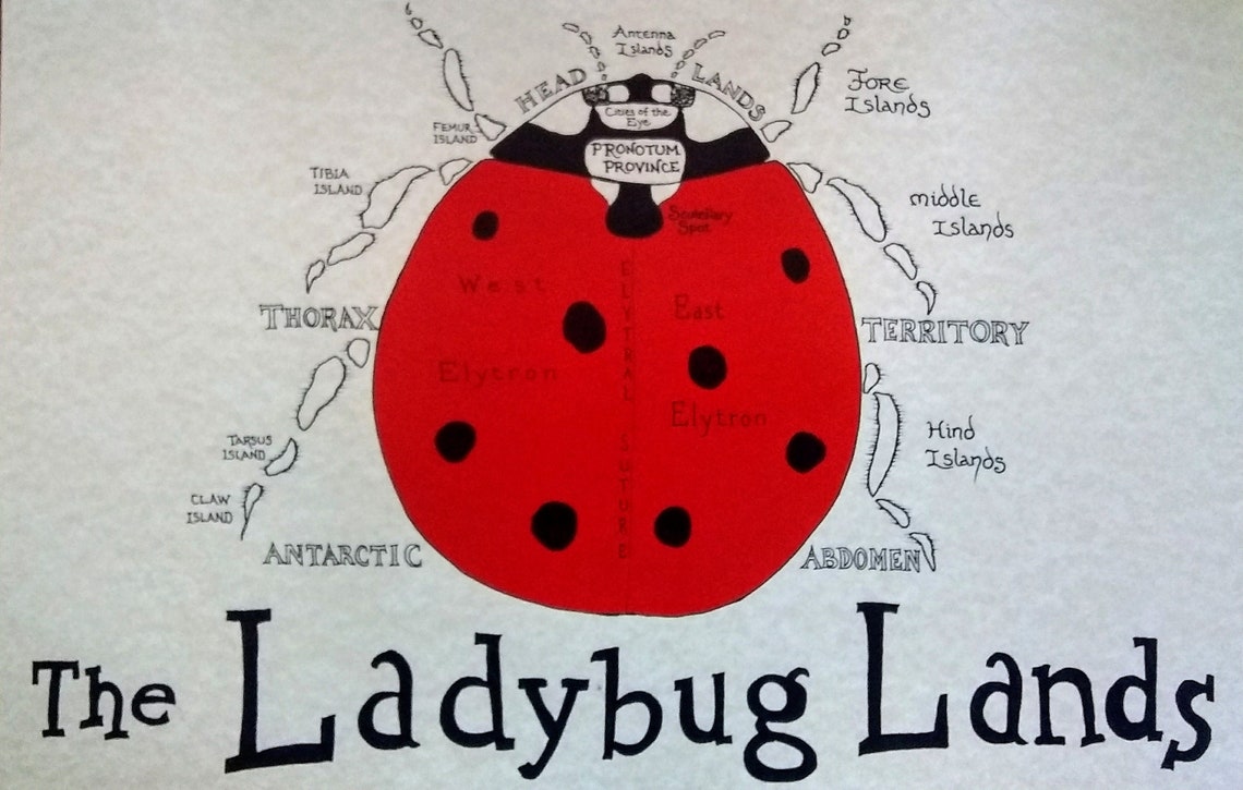 Ladybug Map | Etsy