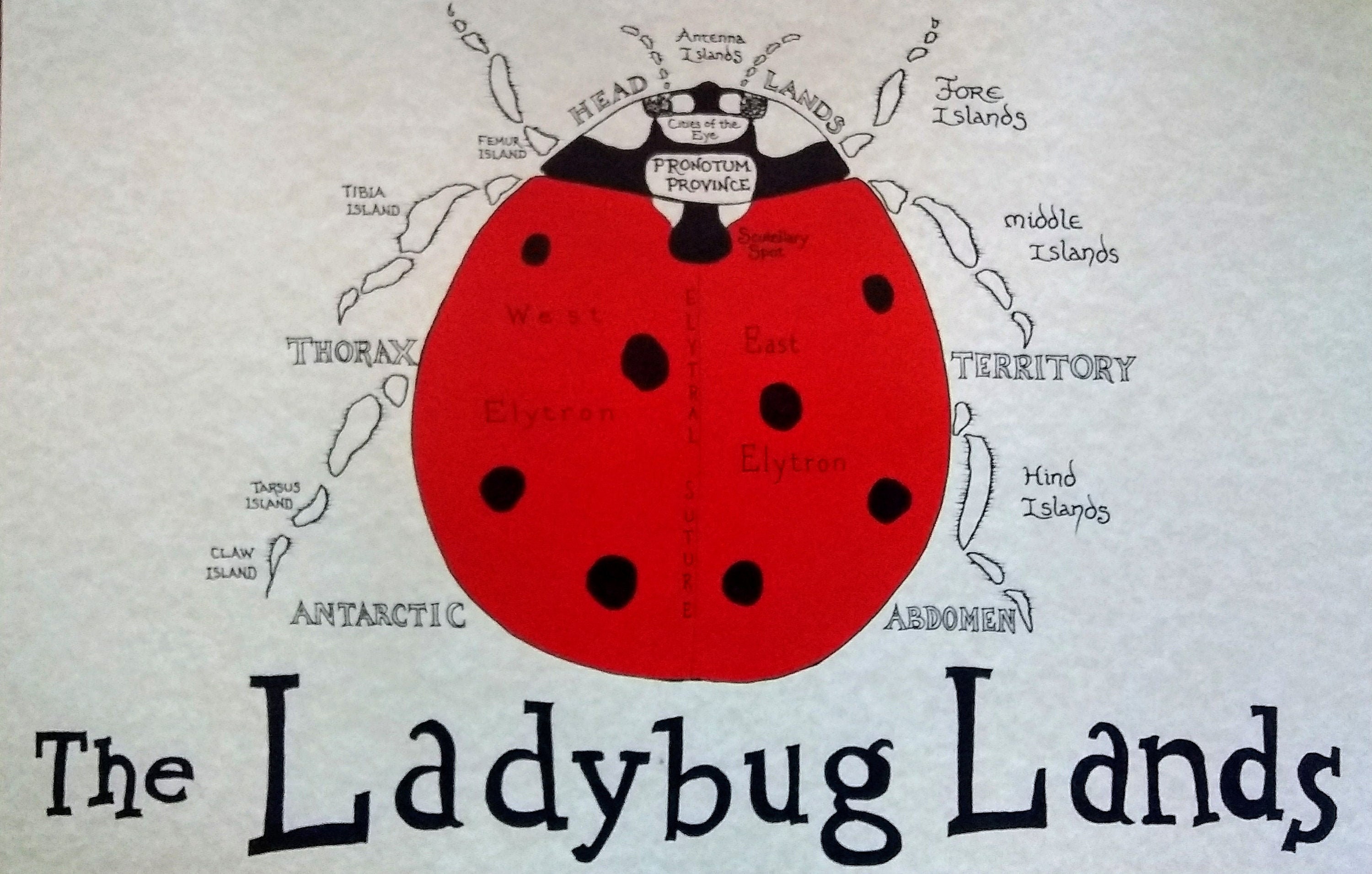 Ladybug Map - Etsy