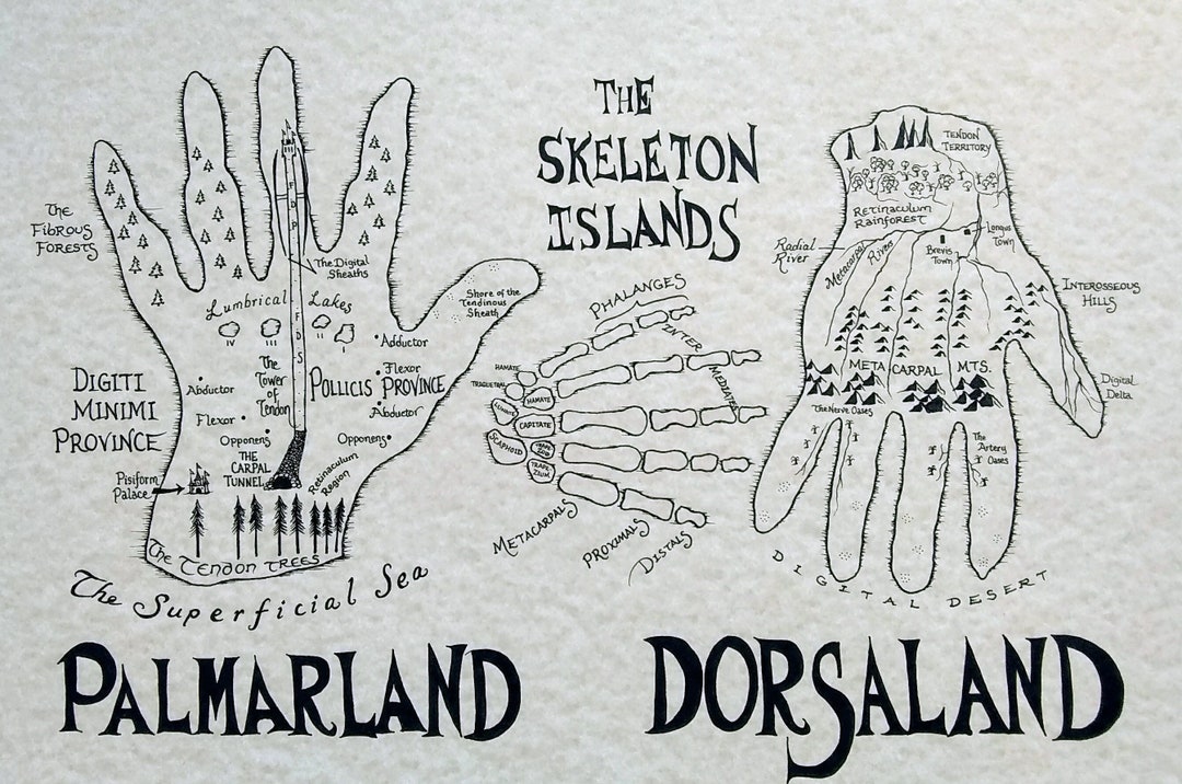 Hand Anatomy Map - Etsy