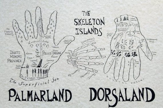 Hand Anatomy Map - Etsy