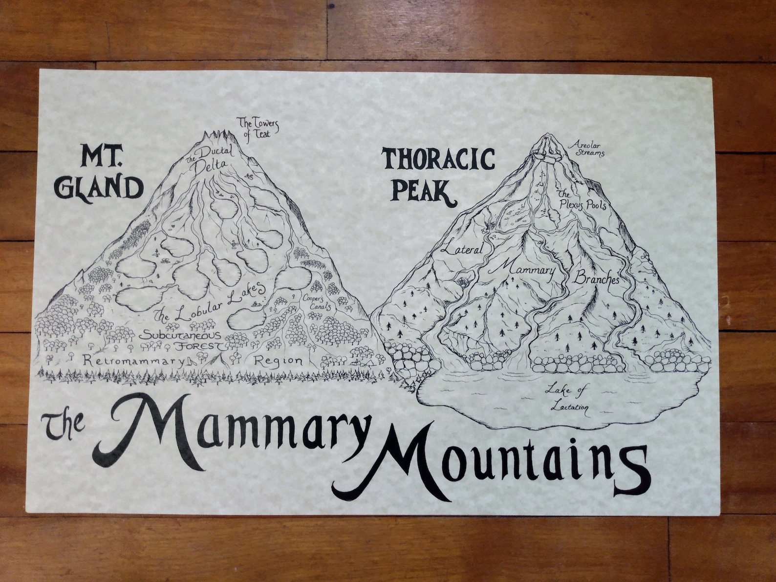 Breast Anatomy Map Hand Drawn - Etsy