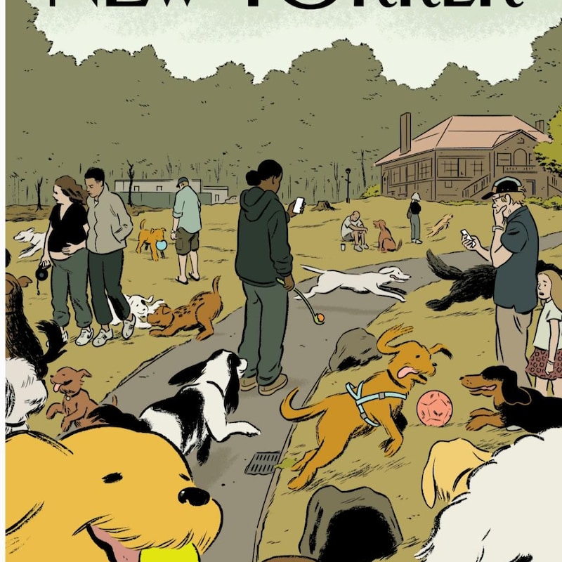 It's a Dog Park - Etsy