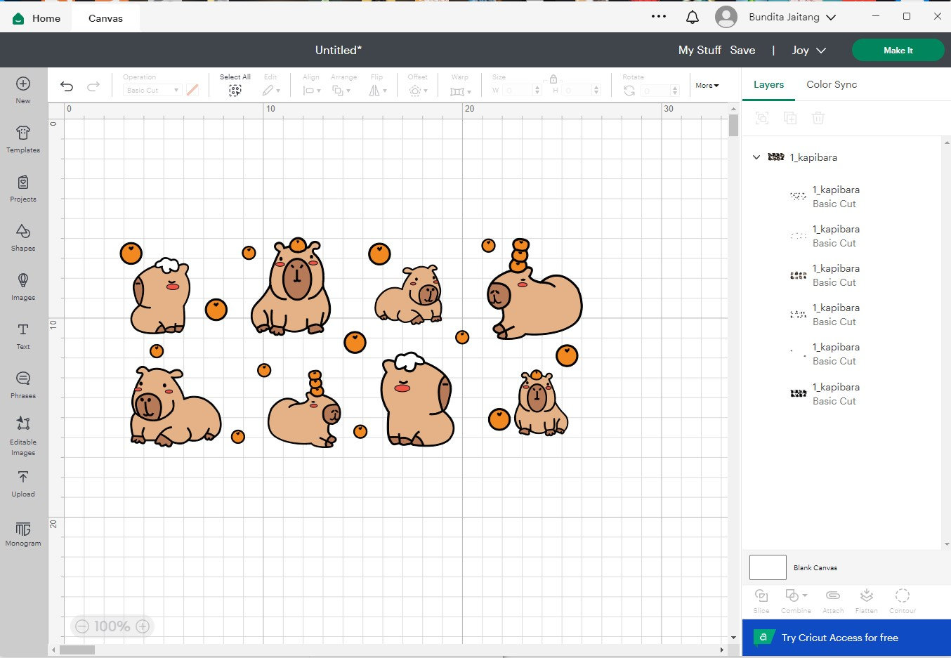 Capybara 16 Oz Glass Can Warp Svg Cute Capybara Svg Gift - Etsy
