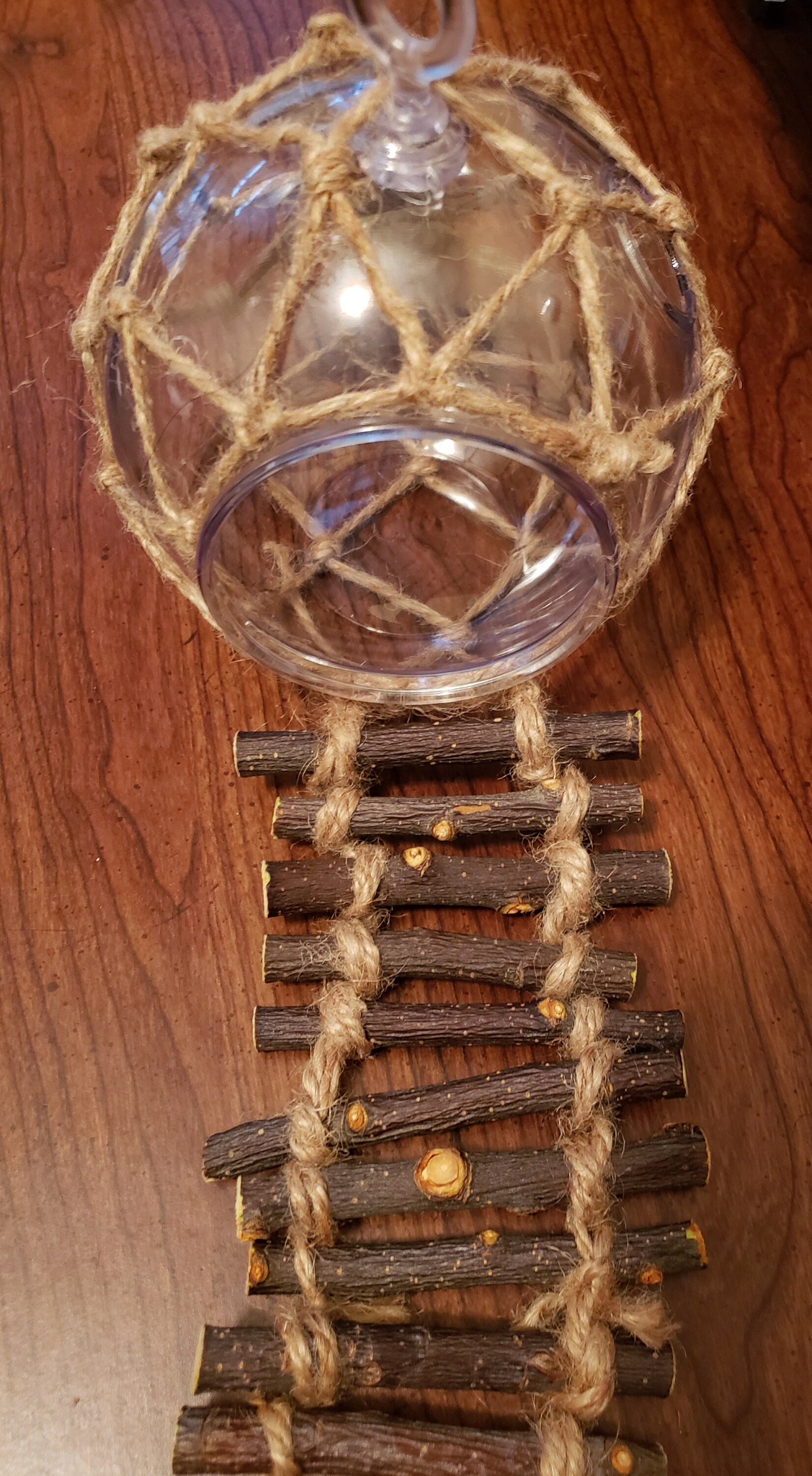 Clear Moss Pit W Ladder - Etsy