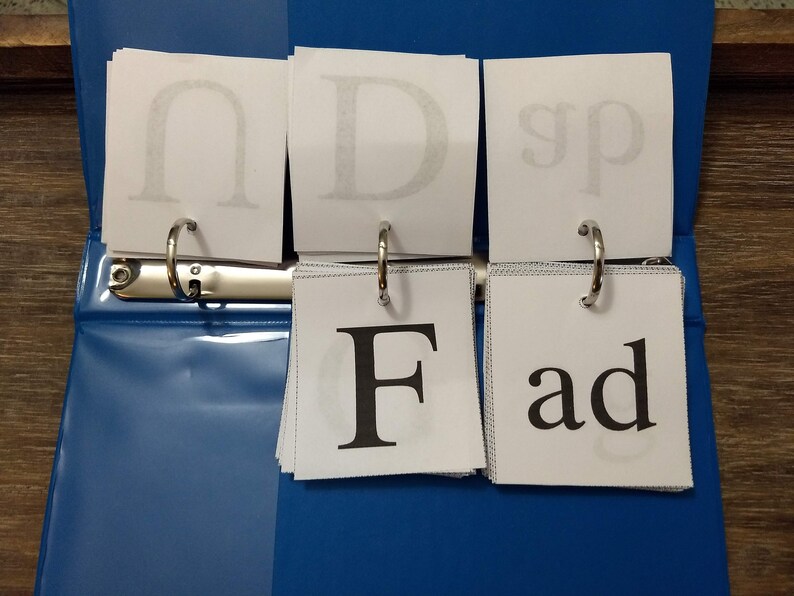 Aphasia Expressive Receptive Brain Injury TBI 42 Word Family Language ...