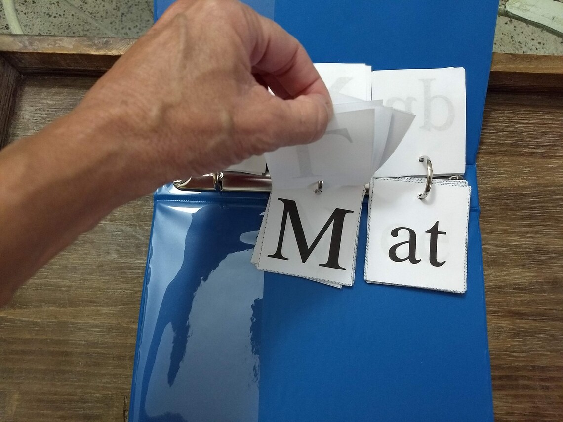 Aphasia Expressive Receptive Brain Injury TBI 42 Word | Etsy