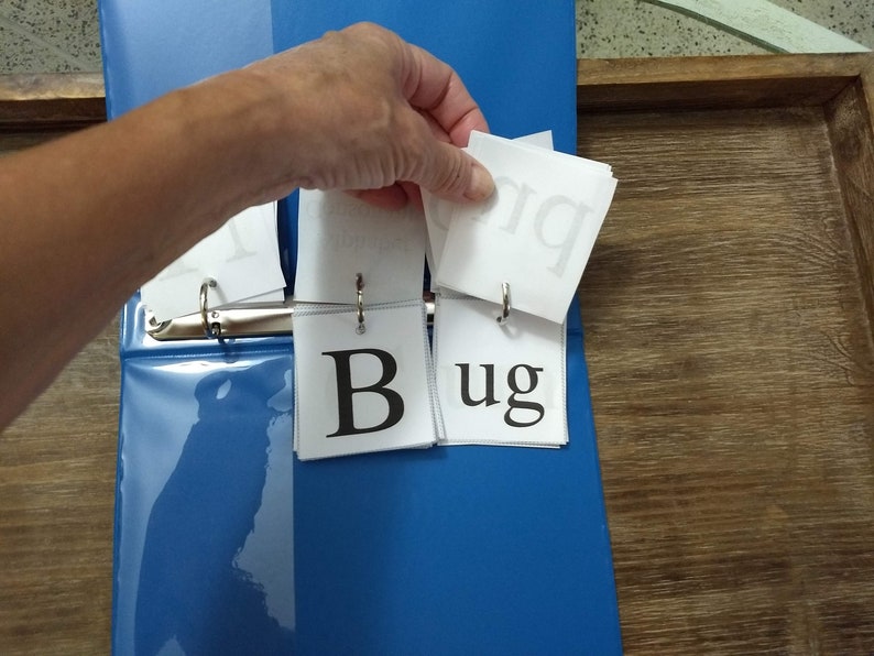 Aphasia Expressive Receptive Brain Injury TBI 42 Word Family Language ...