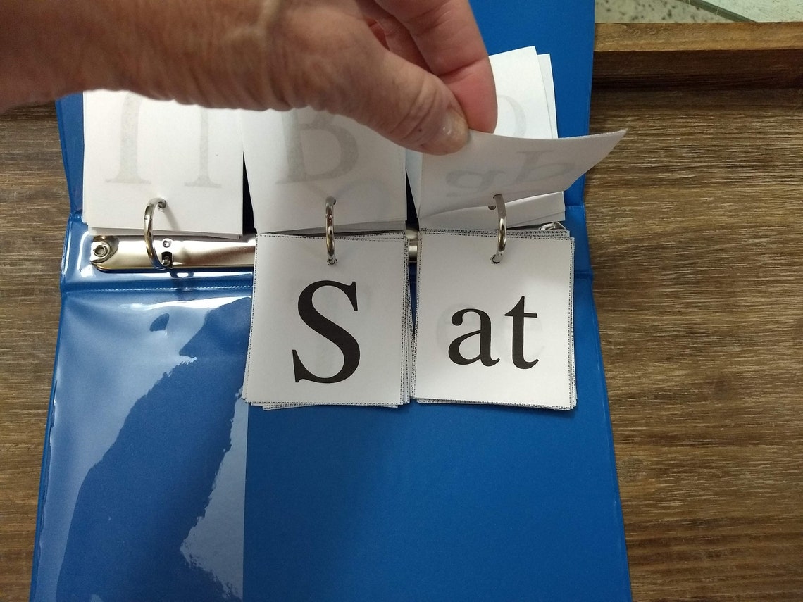 Aphasia Expressive Receptive Brain Injury TBI 42 Word | Etsy