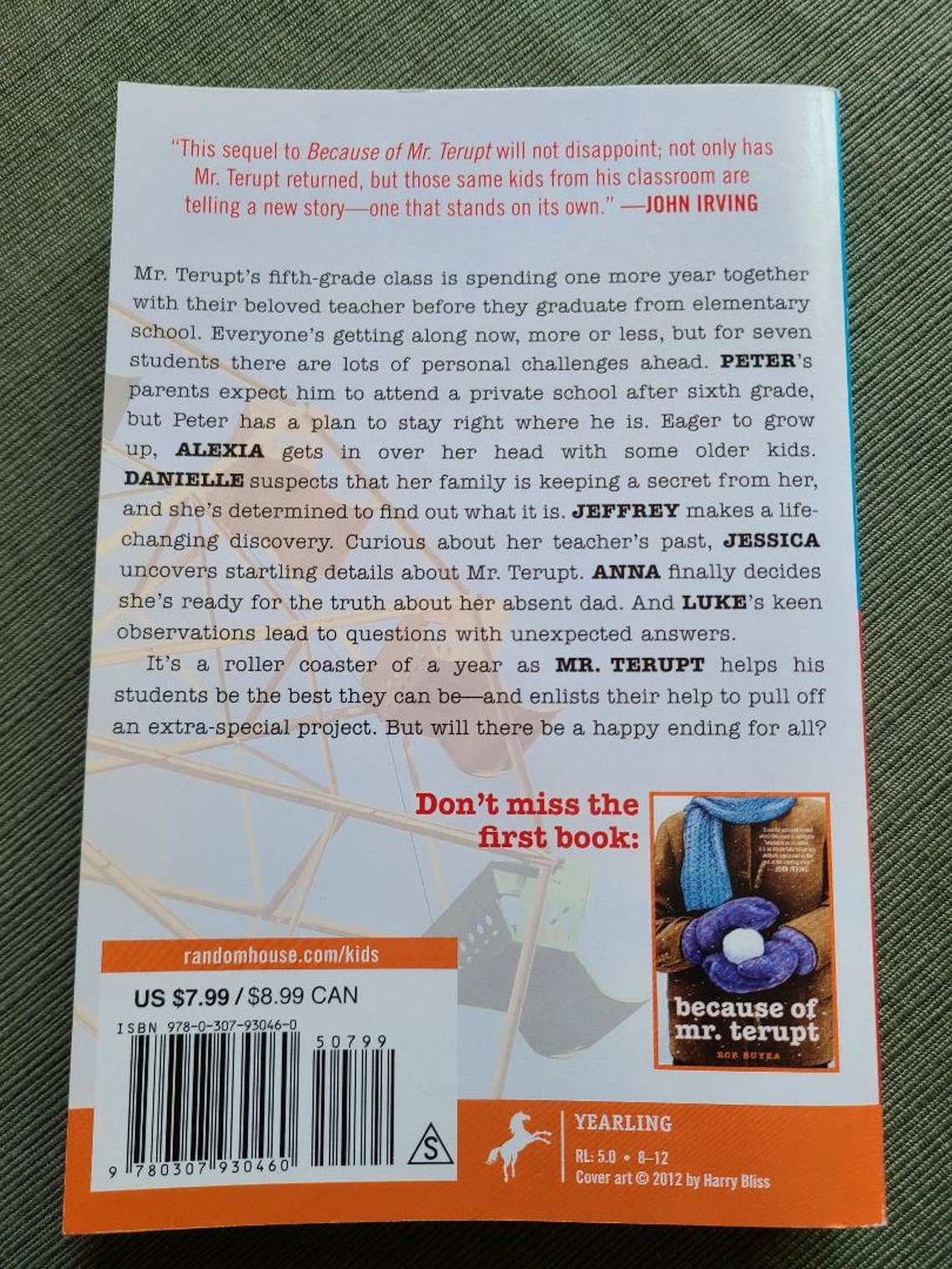 Book: Mr Terupt Falls Again by Rob Buyea - Etsy