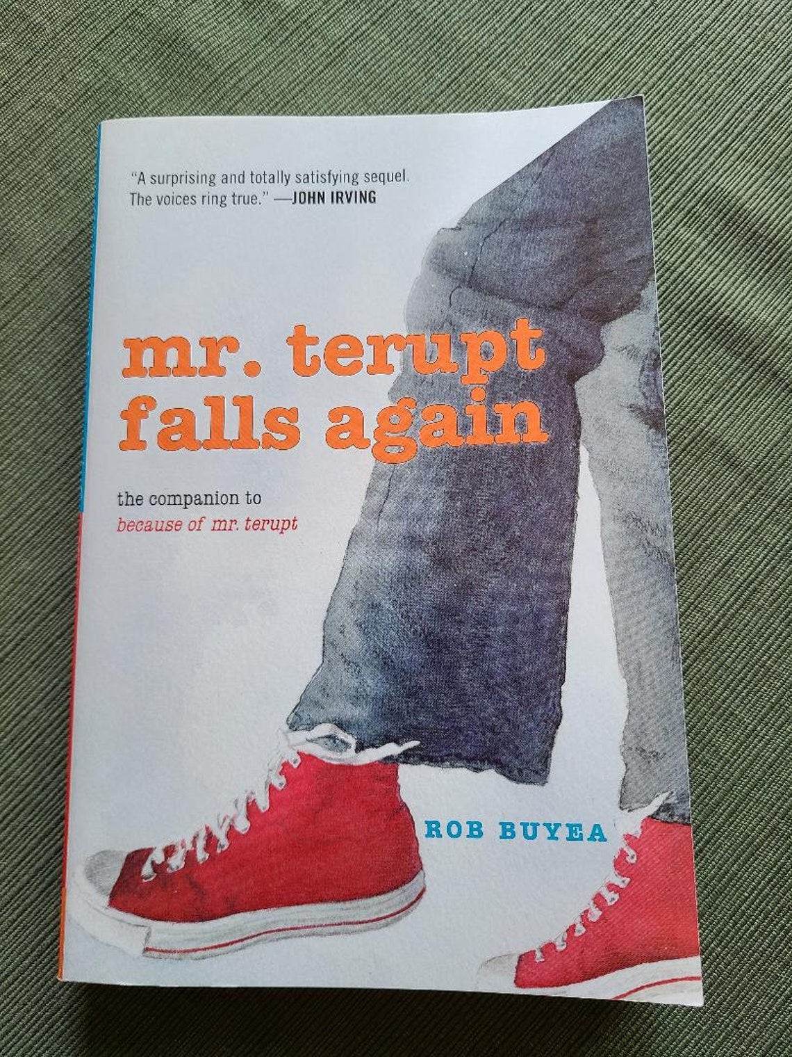 Book: Mr Terupt Falls Again by Rob Buyea - Etsy