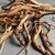 AZALEA REDMOOR ROOTS Terrarium Supplies Decorative Roots Terrarium ...