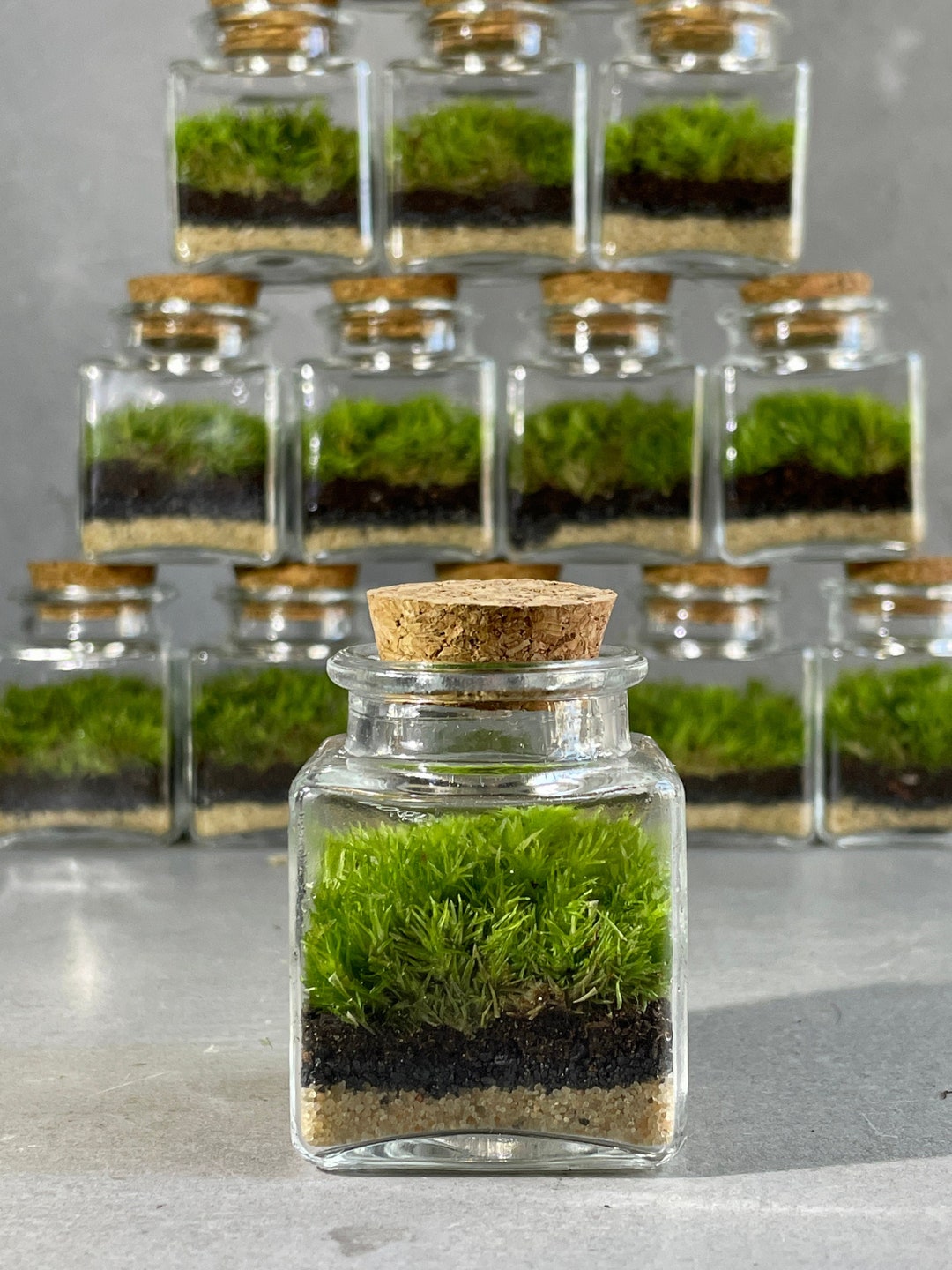 MINI MOSSARIUM JARS | Natural Fresh Moss | Miniature Terrarium | Moss ...