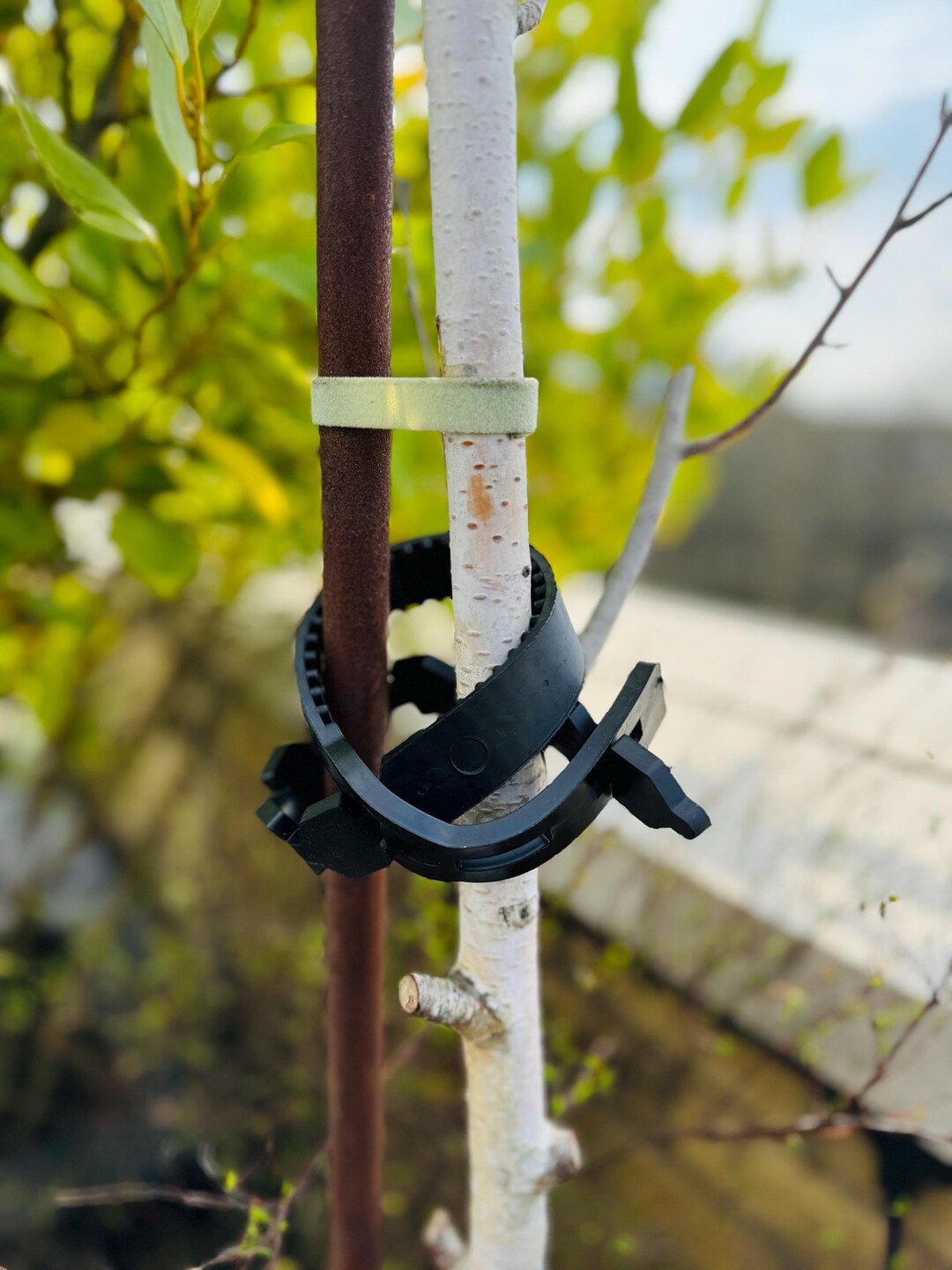 PLANT SUPPORT TIE | Large Plant Rubber Tie | Professional Tools ...